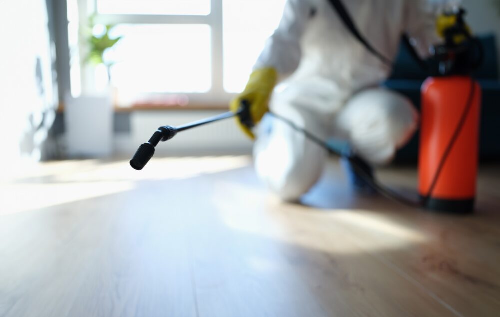 Tips for preventing rodents and other pests in your yard & garden | The ...