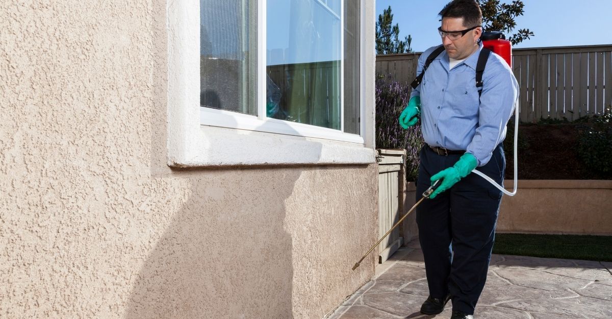 Pest Control La Center WA | The Killers Pest Control